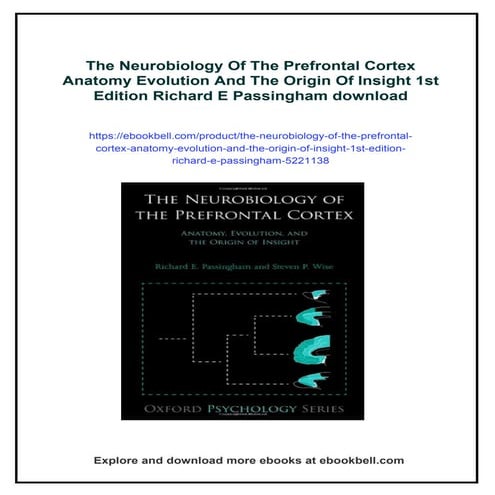 The Neurobiology Of The Prefrontal Cortex Anatomy Evolution And The ...