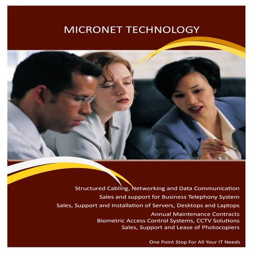 Micronet Profile | PDF