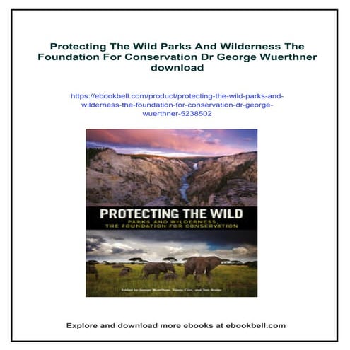 Protecting The Wild Parks And Wilderness The Foundation For ...