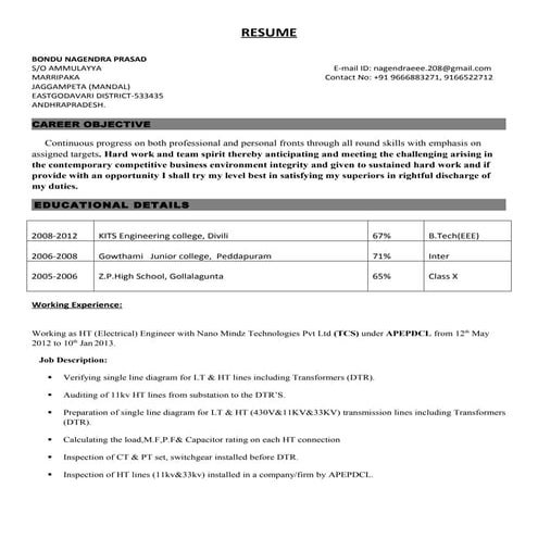 NAG RESUME | DOC | Business | Business and Finance