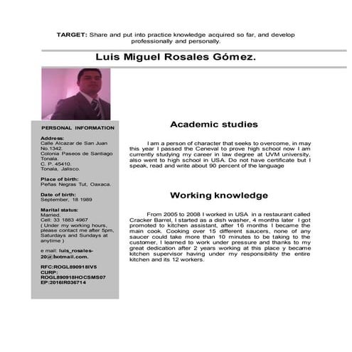 cv | DOCX | Computing | Technology & Computing