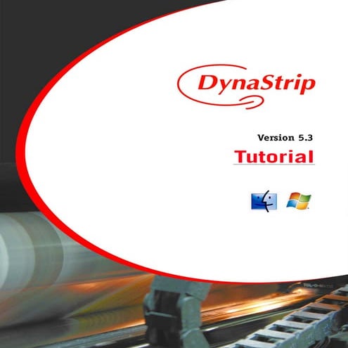 DynaStripTutorial | PDF