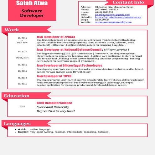 Salah Atwa Java Developer Pdf