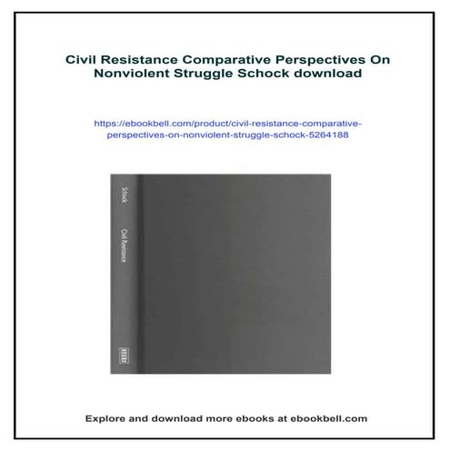 Civil Resistance Comparative Perspectives On Nonviolent Struggle Schock ...
