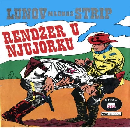 263 rendzer u njujorku | PDF