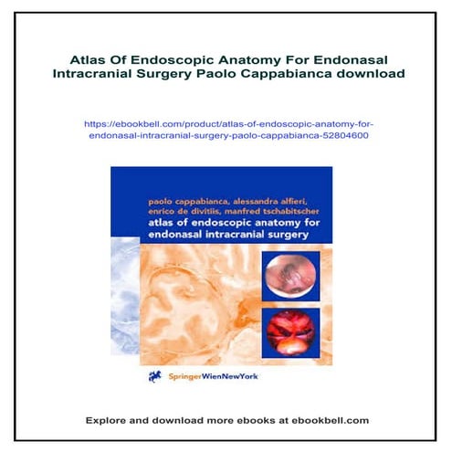 Atlas Of Endoscopic Anatomy For Endonasal Intracranial Surgery Paolo Cappabianca | PDF