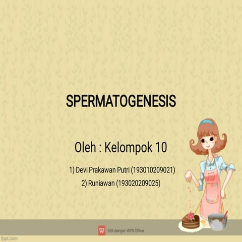 265054615-SPERMATOGENESIS-ppt.pdf