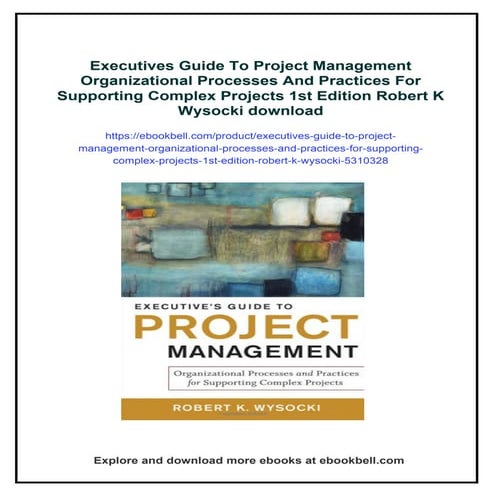Executives Guide To Project Management Organizational Processes And ...