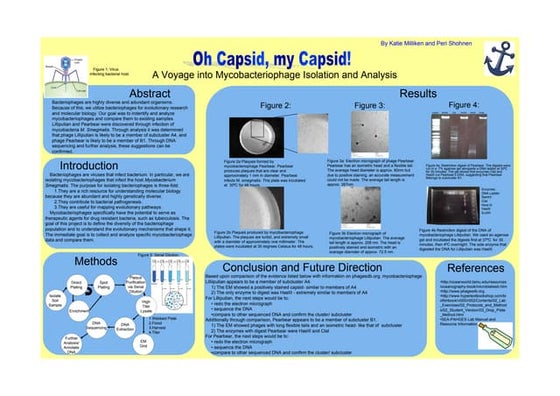 SEA-PHAGES Poster-3 | PPT