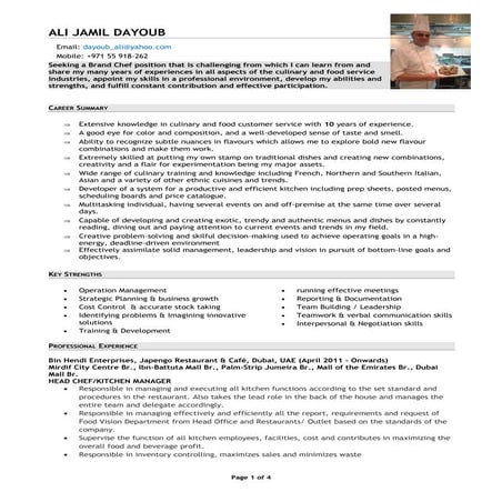 RESUME_ALI_DAYOUB | DOC