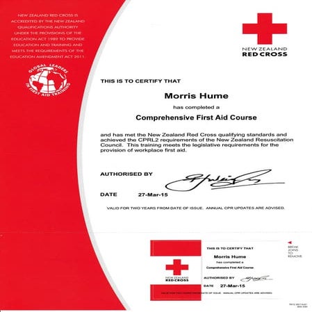 Red Cross | PDF