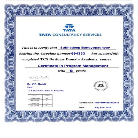 program management | PDF