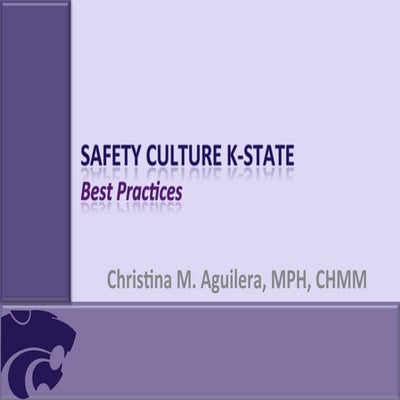 Safety Interaction.pptx