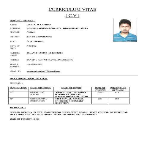 CURRICULUM VITAE(EDITED) | PDF