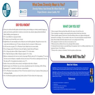 DSS presentation poster edit1 | PPTX