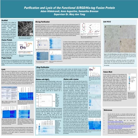 Poster Spring 2016 | PPT