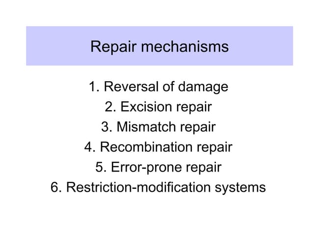 Mismatch Repair Mechanism | PPTX