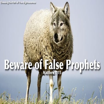 Beware of False Prophets | PDF