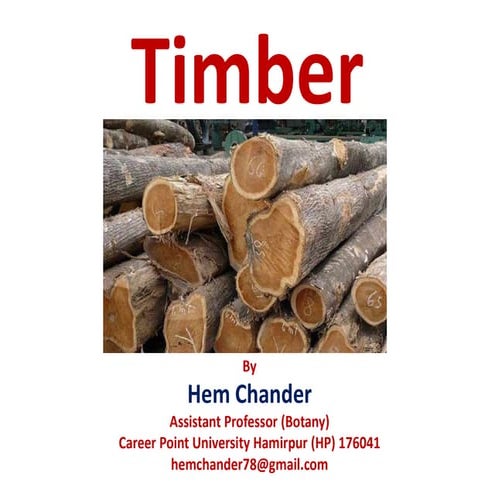 27. Timber.pdf
