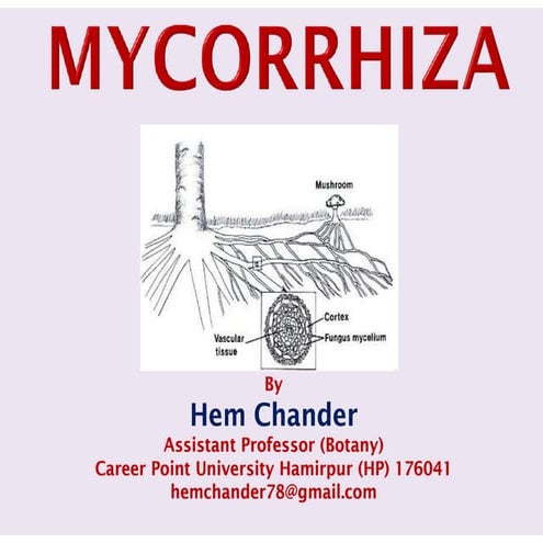 27. Mycorrhiza.pdf