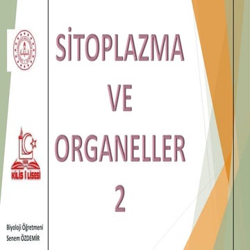 27011802_Sitoplazma_ve_Organeller-2.pdfff | PDF