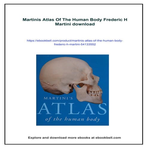 Martinis Atlas Of The Human Body Frederic H Martini | PDF