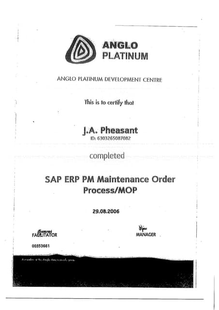 Level 2 Safety | PDF