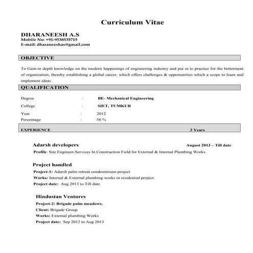 Ghazanfar CV | PDF