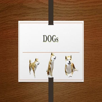 Presentation on Dogs | PPTX