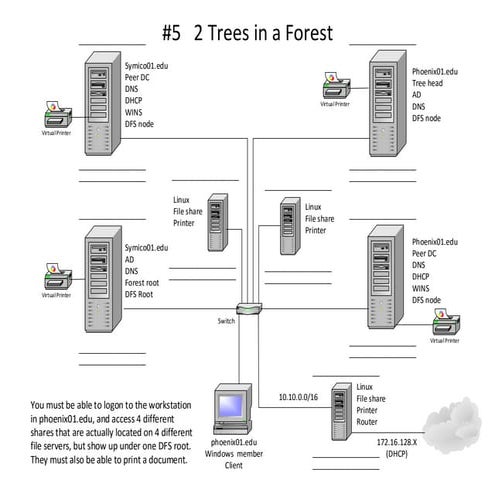 5 - 2 trees in a forest | PPT