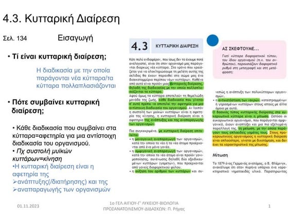 Κυτταρική διαίρεση - Μίτωση | PPT