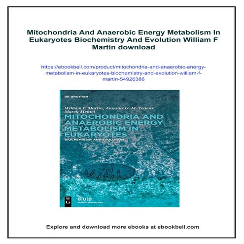 Mitochondria And Anaerobic Energy Metabolism In Eukaryotes Biochemistry ...