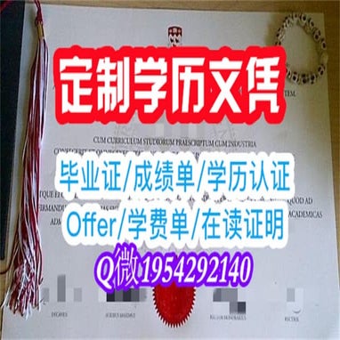 一比一原版(荷兰HHVG毕业证书）格罗宁根汉斯大学毕业证成绩单申请学校Offer | PPT