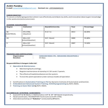 Ankit UPDATED-1 | DOCX