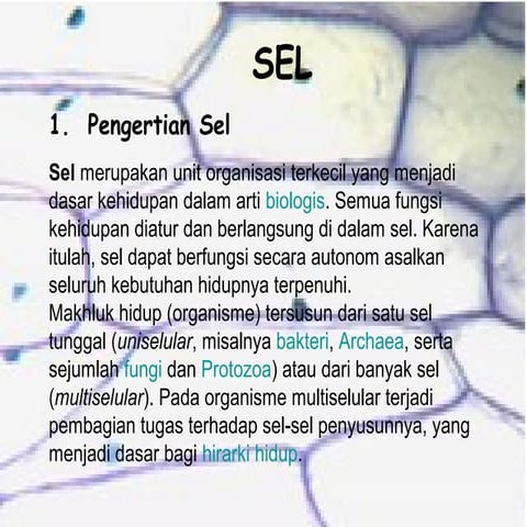 27499244 1-pengertian-sel | PPT