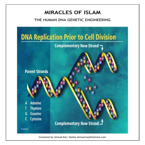 miracles-of-islam-dna-genetic-engineering | PDF