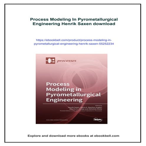 Process Modeling In Pyrometallurgical Engineering Henrik Saxen | PDF