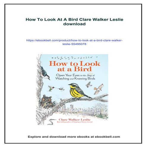 How To Look At A Bird Clare Walker Leslie | PDF