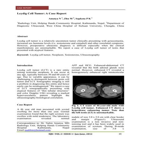Leydig Cell Tumor A Case Report | PDF