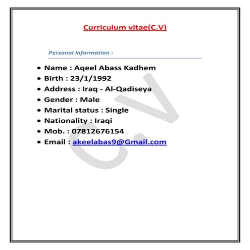 aqeel cv | PDF