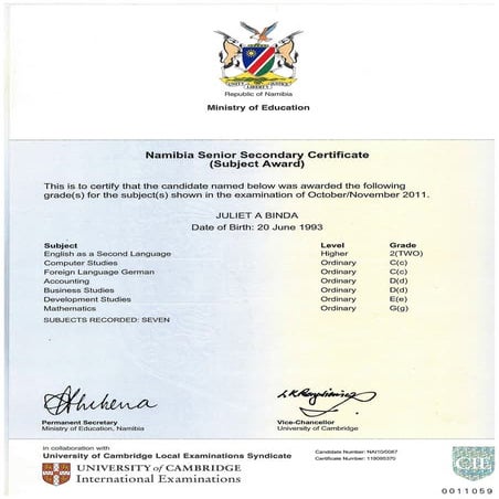 Gr 12 Senior Certificate | PDF