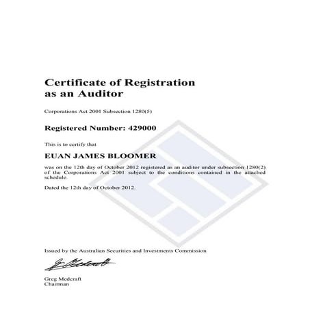 Registered Company Auditor | PDF