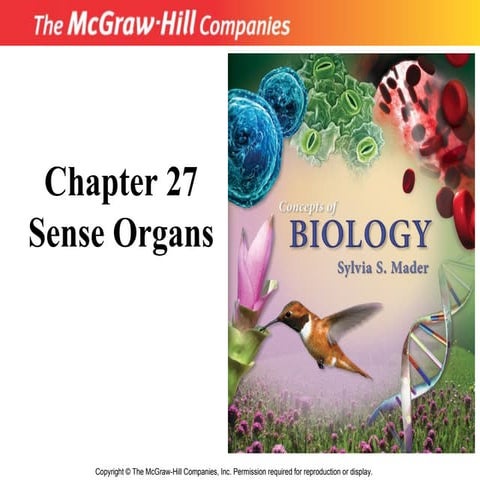 27 Lecture Ppt | PPT