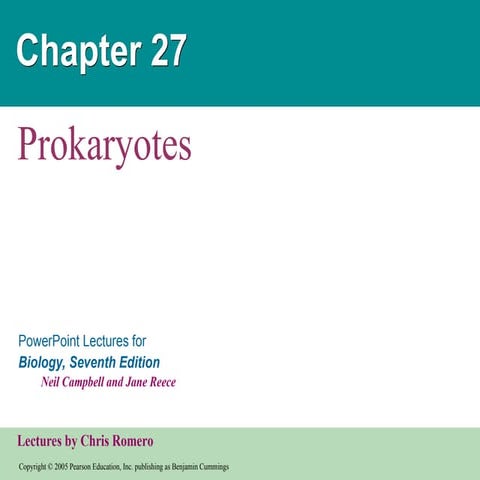 lecture apoptosis for gradutes .ppt