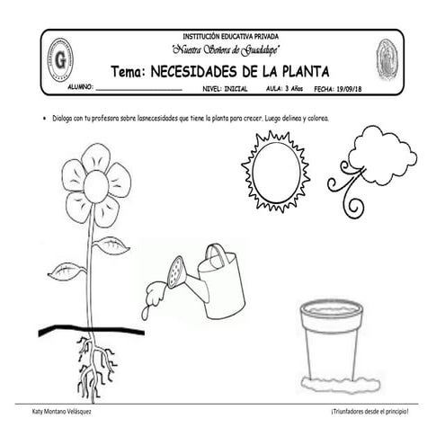 27 tema necesidades de la planta | PDF