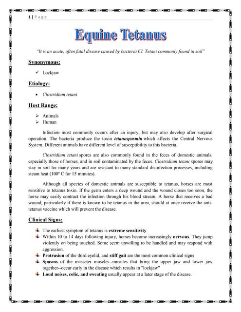 Cardiovascular system of goat | DOCX | Heart and Cardiovascular ...