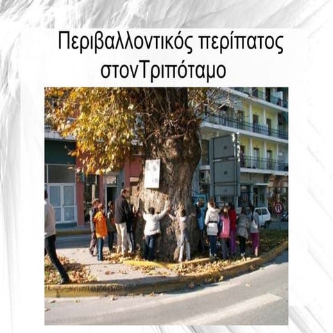 περιβαλλοντικό μονοπάτι 28 11-2011 -1 | ODP