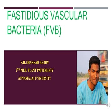 Fastidious vascular bacteria (FVB) | PPTX