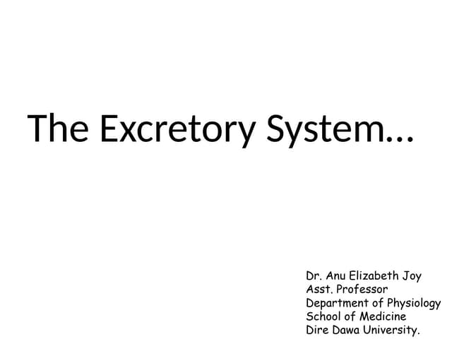 introduction to renal system physiology.pptx introduction to renal system physiology.pptx