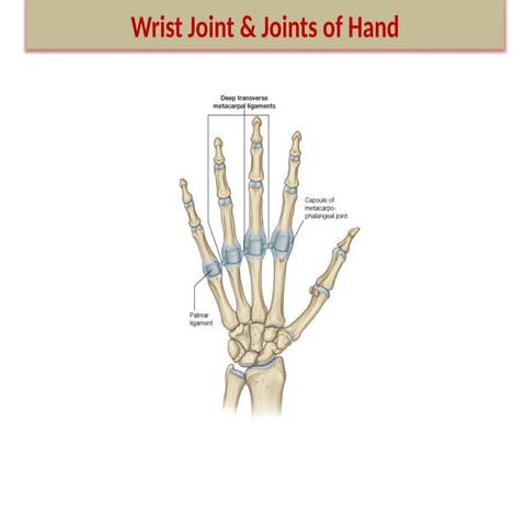 032003-HarshaliPawar--Wristjoint-ppt.pptx